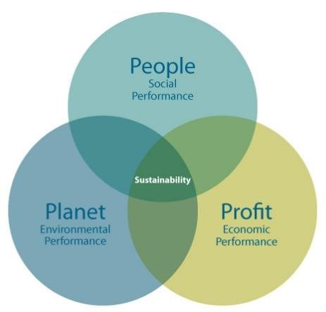 The Sustainable ‘Triple Bottom Line’ Approach – Circle of Sustainable ...